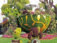 China Customized PE Garden Grass Topiary Sculpture For Garden Decoration for sale
