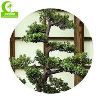 China Indoor Decoration Anti Fading Artificial Black Pine Bonsai Real Touch for sale