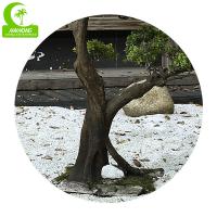 China Indoor Decoration Anti Fading Artificial Black Pine Bonsai Real Touch for sale