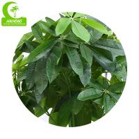 China All Season 160cm Height Braided Artificial Money Tree Plant Indoor for sale
