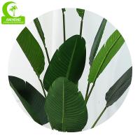 China Artificial Traveler's Palm Decorative Best Office Plants for sale
