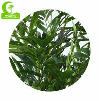 China Potted Realistic 110cm Artificial Areca Palm Tree Floor Standing for sale