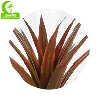 China 100cm Artificial Potted Floor Plants , Faux Agave Plant anti UV for sale