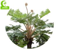 China Indoor Outdoor All Season 350cm Artificial Tropical Tree Realistic for sale