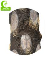 China Indoor Outdoor All Season 350cm Artificial Tropical Tree Realistic for sale