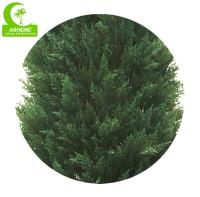 China Durable 3.8m Artificial Topiary Tree Outdoor , Artificial Cypress Trees Decorative for sale