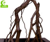 China 350cm Artificial Landscape Trees , Fake Maple Tree All Season for sale