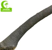 China All season 400cm Height Artificial Tropical Tree , Large Artificial Outdoor Trees Durable for sale