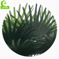 China UV Resistance H700cm Artificial Tropical Tree , Fake Palm Plant Indoor for sale