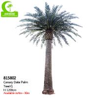 China Wind Resistance Anti Aging 1200cm Artificial Tropical Tree For Hotle for sale