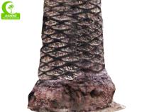 China Wind Resistance Anti Aging 1200cm Artificial Tropical Tree For Hotle for sale