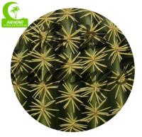 China All Season Lifelike 90cm Artificial Succulent Plant Round Shape for sale