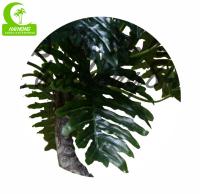 China High Simulation 150cm Artificial Potted Floor Plants With Big Leaves for sale