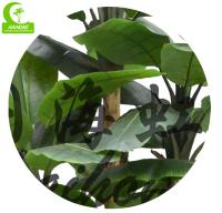 China Fire Retardant H350cm Large Artificial Landscape Trees With Real Touch Leaves for sale