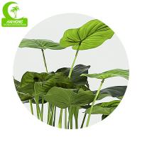 China 2021 Lifelike Artificial Monstera Plants Of North Europe Style for sale