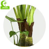 China 2021 Lifelike Artificial Monstera Plants Of North Europe Style for sale
