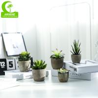 China High Simulation 6.5cm Faux Succulent Plants , Small Fake Succulents Luxury for sale