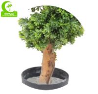 China Special Design Artificial Topiary Tree , 6ft Fake Plant Single Trunk for sale