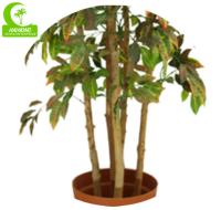 China Luxury Height 170cm Artificial Ficus Tree For House Decoration for sale