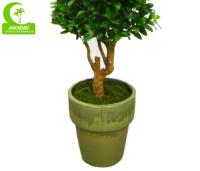 China Interior Decoration Fiber Glass Trunk Artificial Ficus Tree H140cm for sale