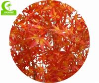 China Indoor And Outdoor 200cm High Artificial Red Maple Tree For Courtyard for sale