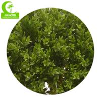 China Anti Fading Artificial Topiary Tree , Artificial Spiral Tree 110cm for sale