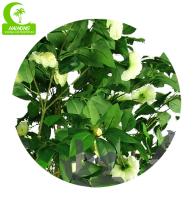 China 2021 Competitive Price And High Quality Artificial Flower Tree Artificial Camellia Tree for sale