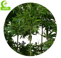 China High Imitation 1250cm Artificial Bamboo Plants For Home Decor HAIHONG for sale