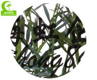China All Season Height 210cm Artificial Tropical Tree With Pot for sale