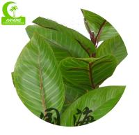 China Durable 85cm Green Plastic Leaves For Decoration , Plastic Green Leaves Lifelike for sale