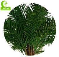 China 400cm Height Luxury Artificial Outdoor Palm Plants Restaurants for sale