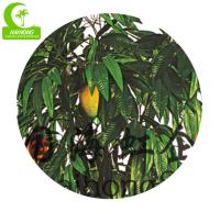 China Tropical Mango Trees For Sale Chinese Goods Wholesale Artificial Mango Tree for sale