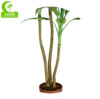 China Cornstalk Cracaena High Quality Artificial Dracaena With Real Touch Leaves For Hot Sale for sale