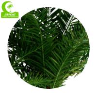 China Luxury 400cm Artificial Tropical Tree For Garden Landscaping for sale