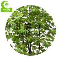 China 180cm Artificial Potted Floor Plants Green Maple Tree For Garden Landscpe Decoration for sale