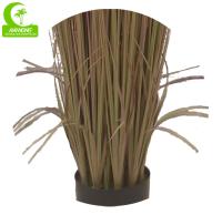 China Good Value Wholesale 165cm Artificial Onion Grass Plant With Pot for sale