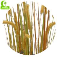 China Lifelike Artificial Foxtail Grass Good Value Grass Wholesale For Decoration for sale
