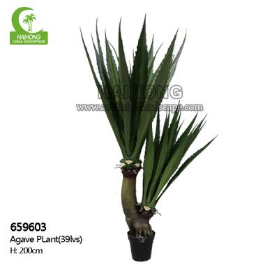 China Fire Resistant 200cm Artificial Agave Plant Large Easy To Care for sale