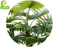 China All Season Artificial Palm Plants Outdoor , 6ft Faux Tree For Decoration for sale