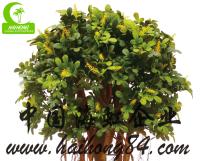 China lifelike 90cm Artificial Boxwood Topiary Outdoor With Multi Nature Trunk for sale