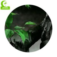 China Artificial Plastic Ficus Tree Special Artificial Potted Floor Plants For Indoor Decoration for sale