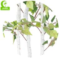 China Factory Customizable Good-Looking Artificial White Birch Tree With Three Trunk Green Garden Landscaping for sale
