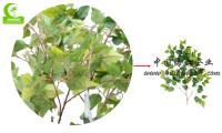 China Factory Customizable Good-Looking Artificial White Birch Tree With Three Trunk Green Garden Landscaping for sale