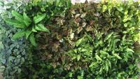 China No Nursing Artificial Vertical Greening Easy To Care for sale