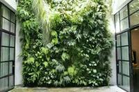 China No Nursing Artificial Vertical Greening Easy To Care for sale