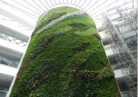 China No Nursing Artificial Vertical Greening Easy To Care for sale