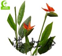 China Manufacturer Inexpensive Stunning Artificial Bird Of Paradise Green Plant Artificial Potted Plant for sale