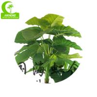China All Season 170cm Artificial Potted Floor Plants With Real Touch Leaves for sale
