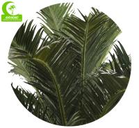 China Supplier Height 500cm Artificial Date Palm Tree High Quality Outdoor Tropical Tree for sale