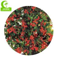 China Look Real Small Artificial Plants In Pots With Flower Tree for sale